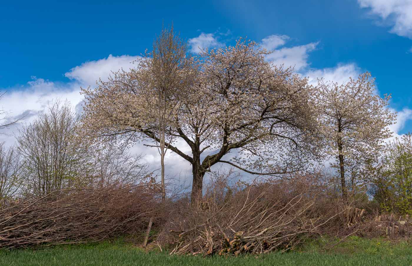 Knick in Schleswig Holstein eine besondere Kulturlandschaft – Christian ...